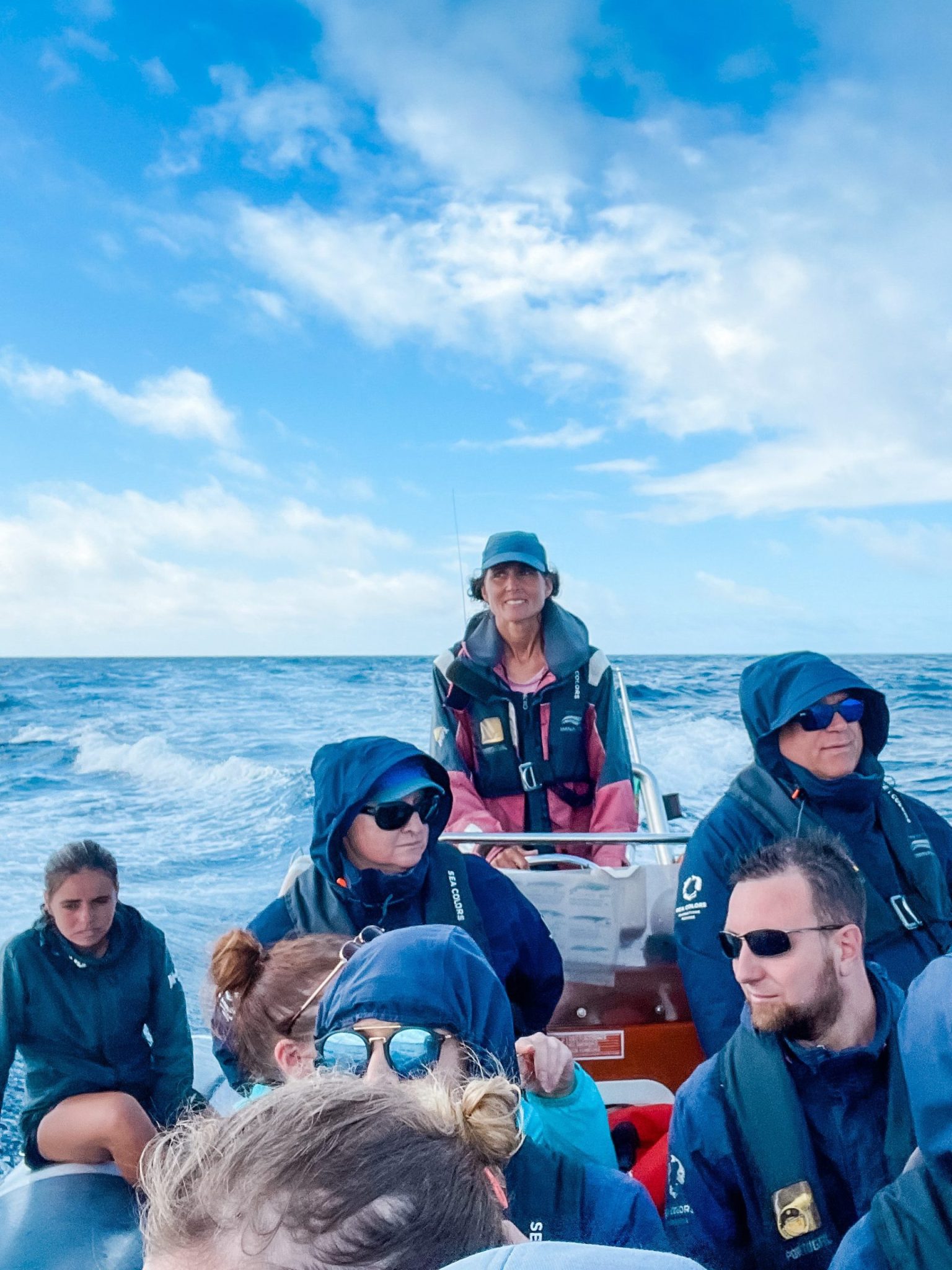 Walbeobachtung auf den Azoren & Schwimmen mit Delfinen | Tipps